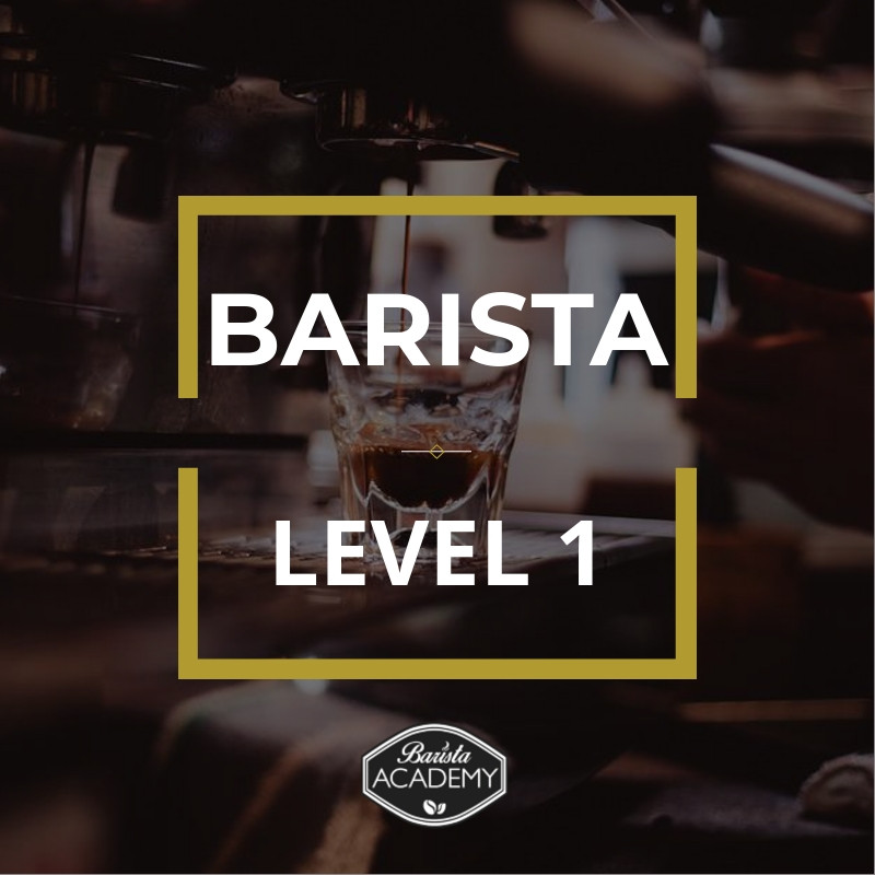 Πρόγραμμα Σεμιναρίων - Barista Academy | Σεμινάρια Barista | Εκπαίδευση ...